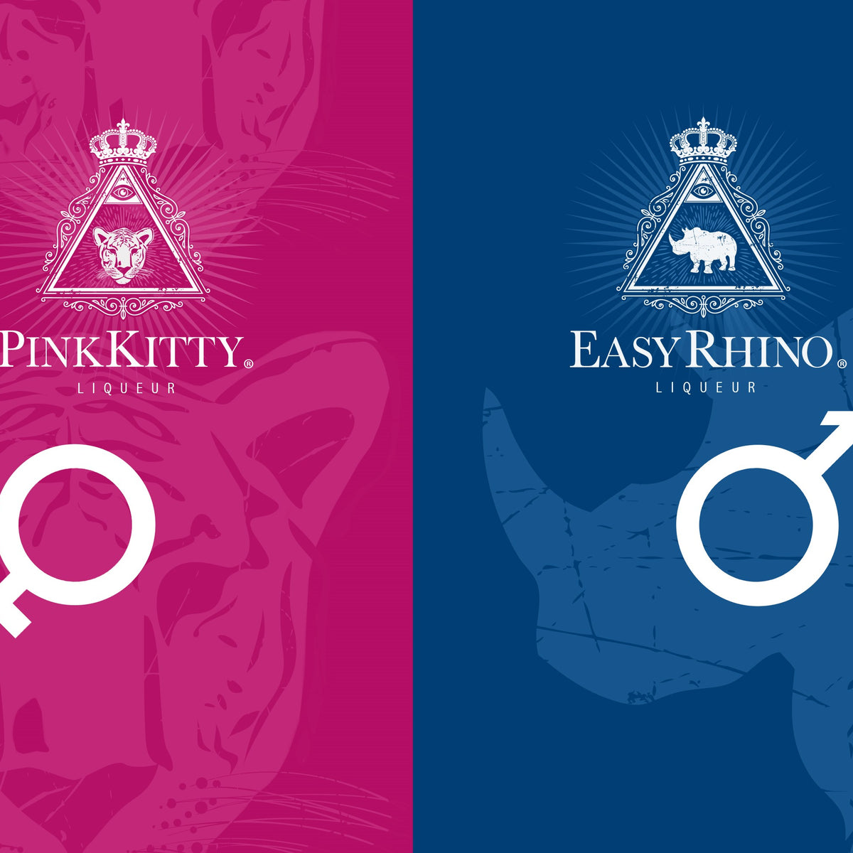Passion and Wellness in Every Pour: Introducing PinkKitty and EasyRhin ...