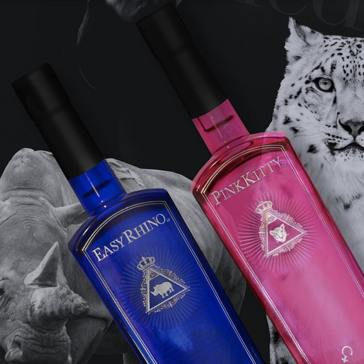 Turn Ordinary Nights Into Legendary Experiences with PinkKitty and Eas ...