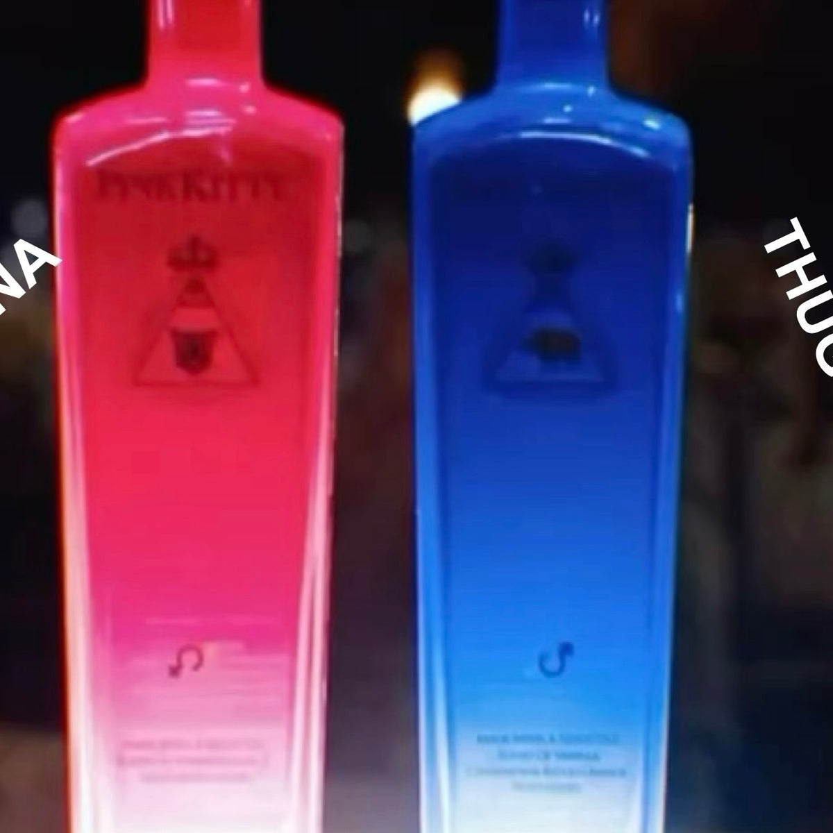 Unveiling PinkKitty and EasyRhino: The Future of Innovative Spirits ...